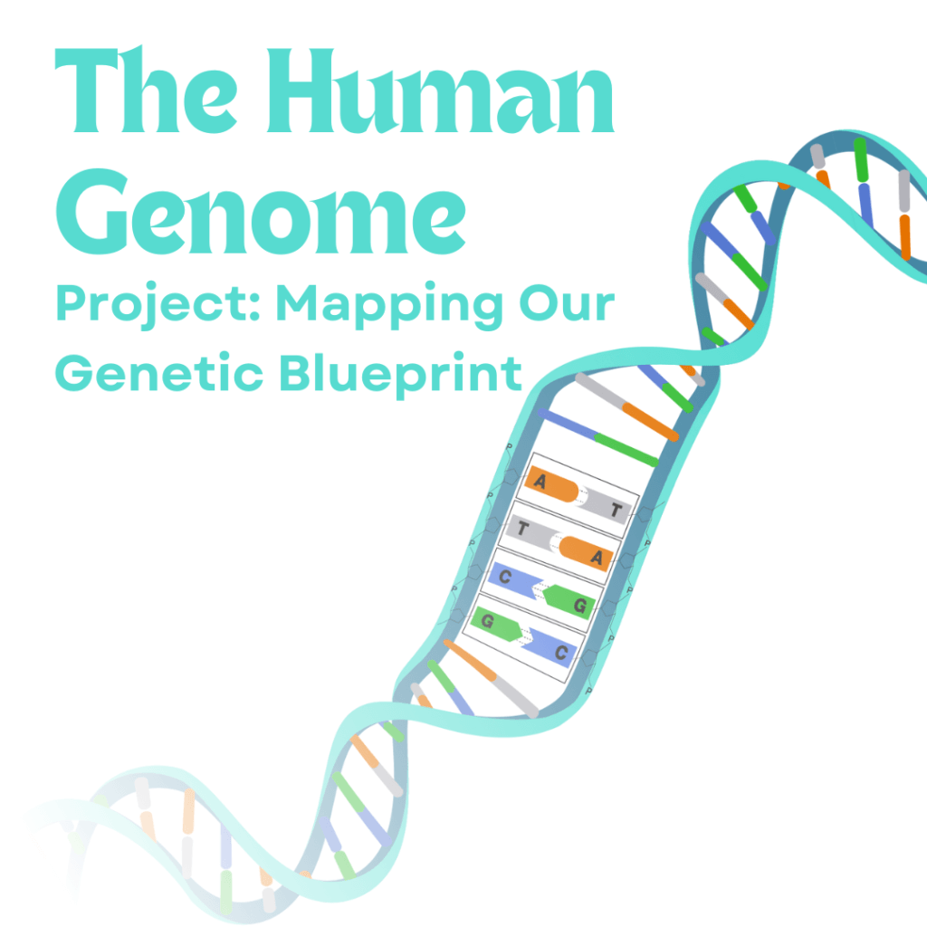 The Human Genome Project: Mapping Our Genetic Blueprint - DiscountWala ...
